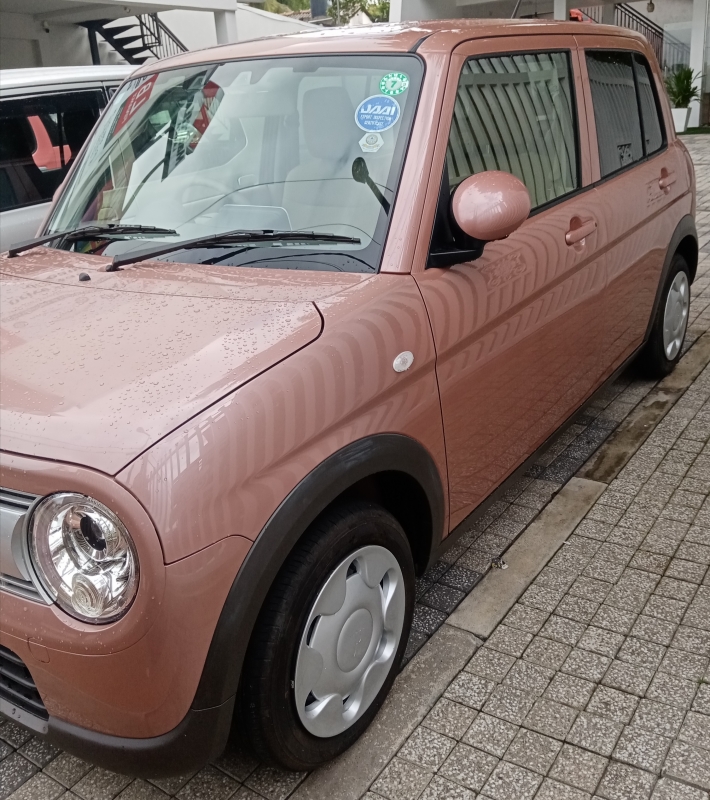 SUZUKI ALTO LAPIN (PINK) - SUZUKI ALTO LAPIN (PINK)